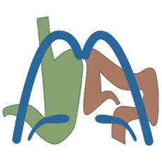 Willkommen | Pneumologie Mosbach